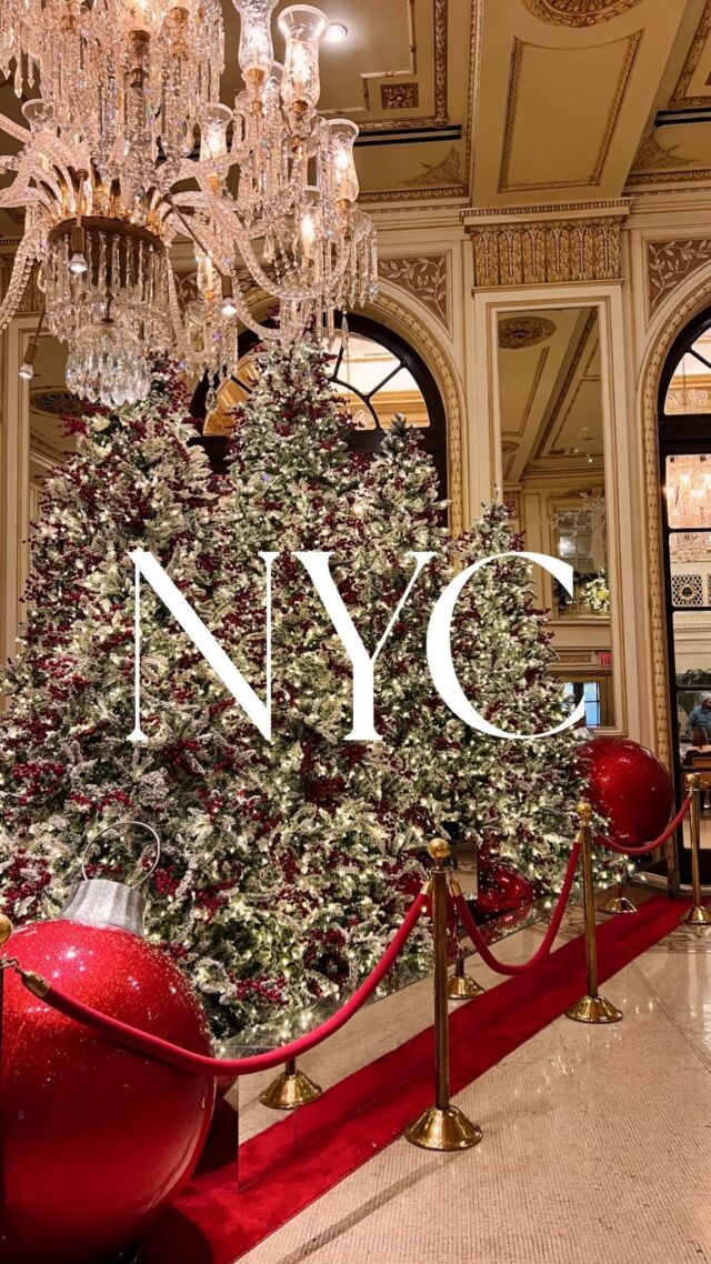 Amazon Finds // Fall Staples the Kids Will Love - Andee Layne